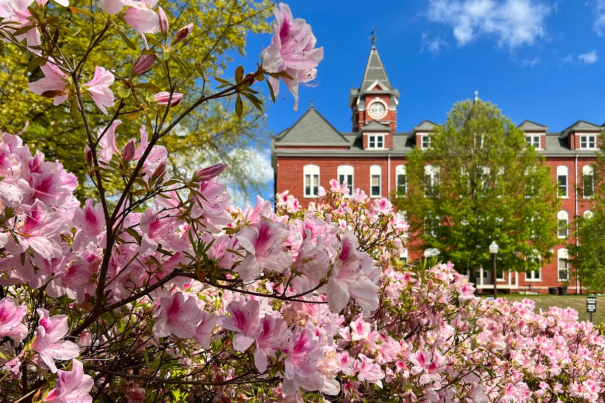 Summer Break 2025 | Auburn Family Portal