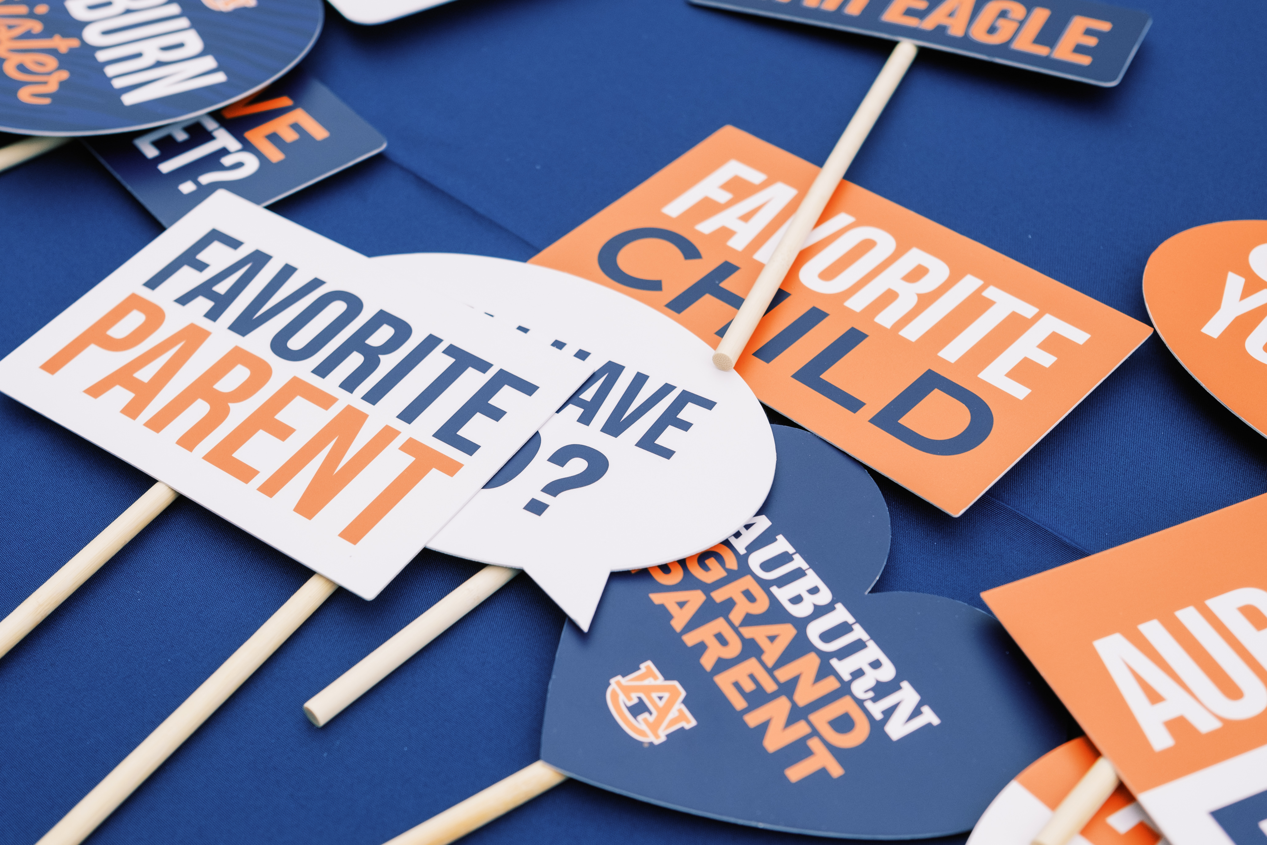 Virtual Information Session on Fall Family | Auburn Family Portal